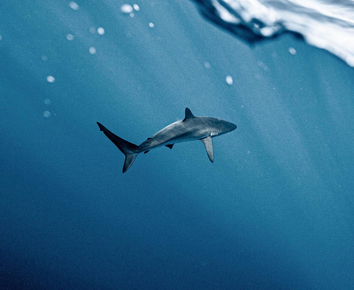 Powerful Wireshark Scripts For Intrusion Detection By William Baptist Medium