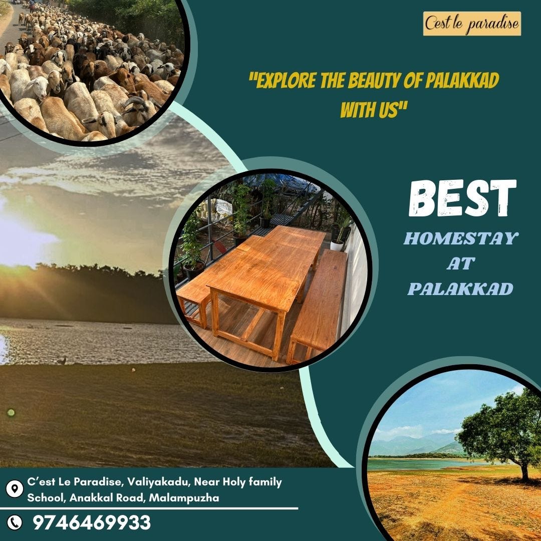 Best homestay in kava. Nature embraces a lot of things to make… | by ...