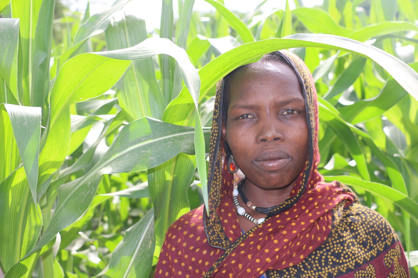 Lean season in Chad: a daily struggle | by Nathalie Magnien | World ...
