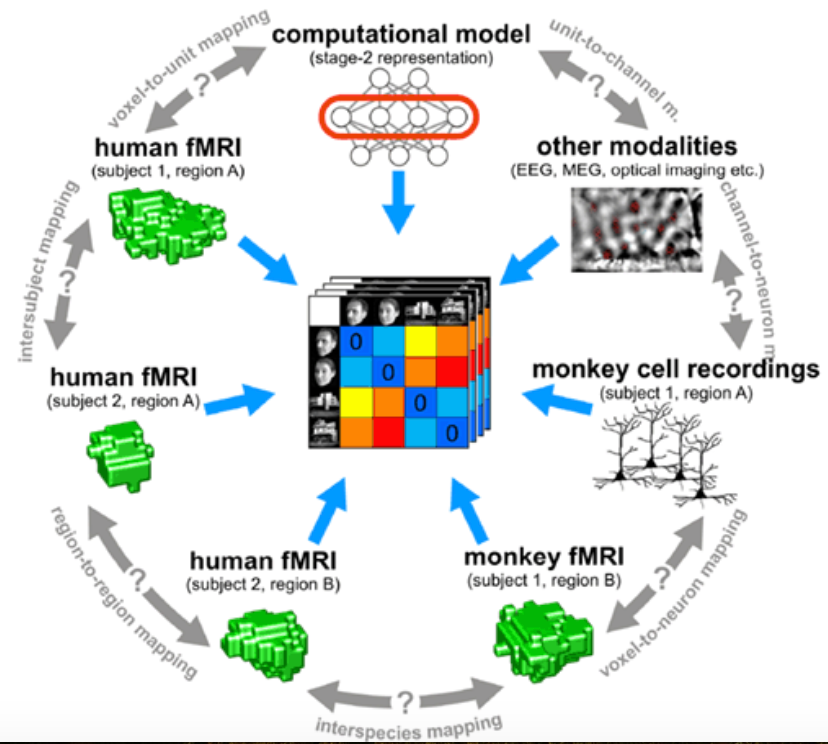 Computational Neuroscience : Exploring fMRI Data Analysis with Python | by Bhuvana_Venkatappa ...