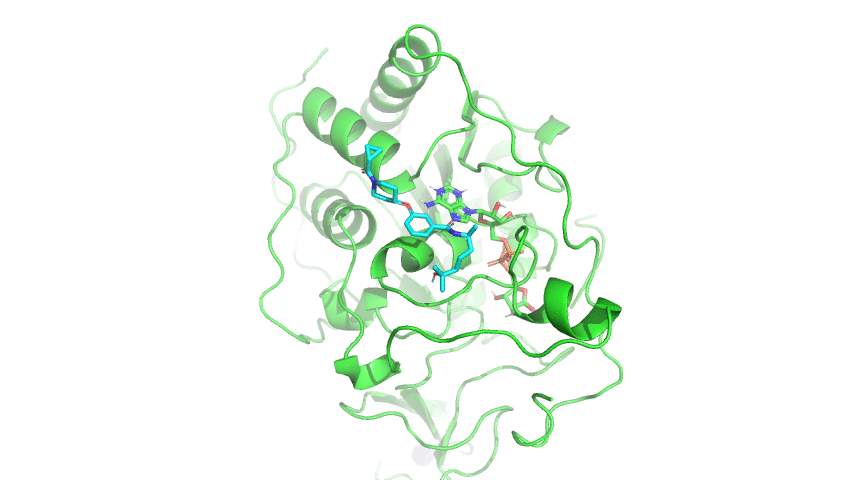 Molecular Fingerprint. A molecular fingerprint is a unique… | by Santu ...
