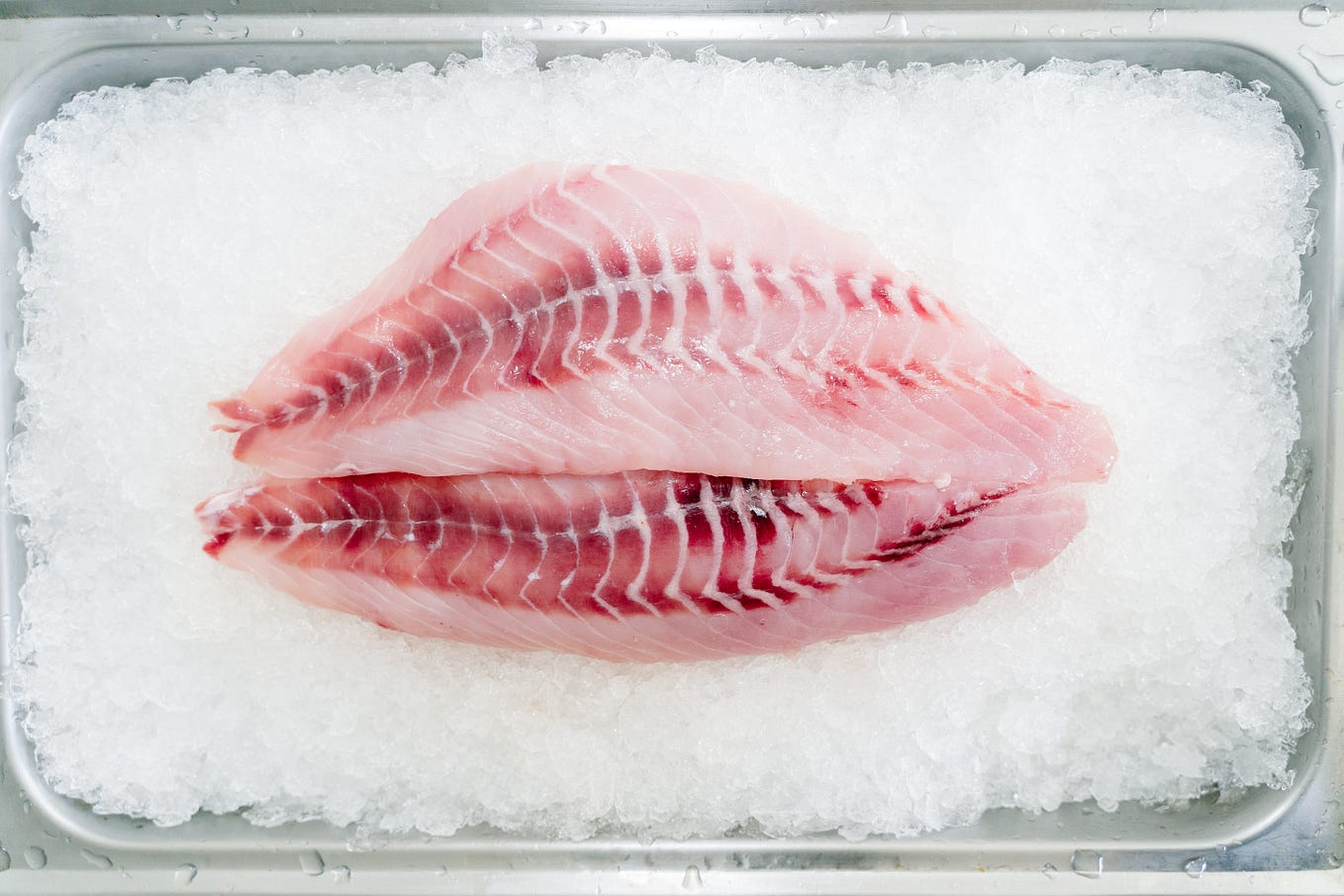 Best Threadfin Fish in Singapore - Ding Xin Seafood - Medium