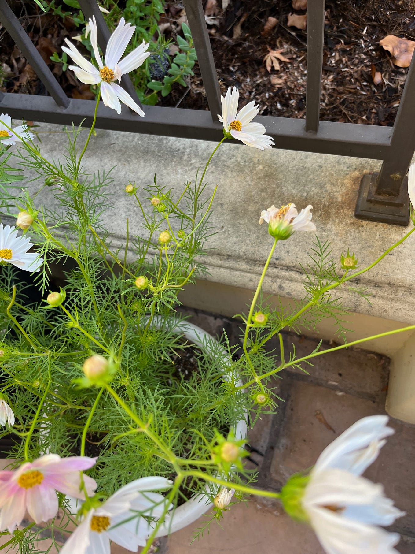 👏👏 - jess - Medium