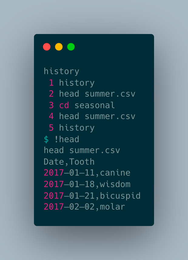 Shell Scripting Introduction Datacamp By Vinaya Nayak Medium