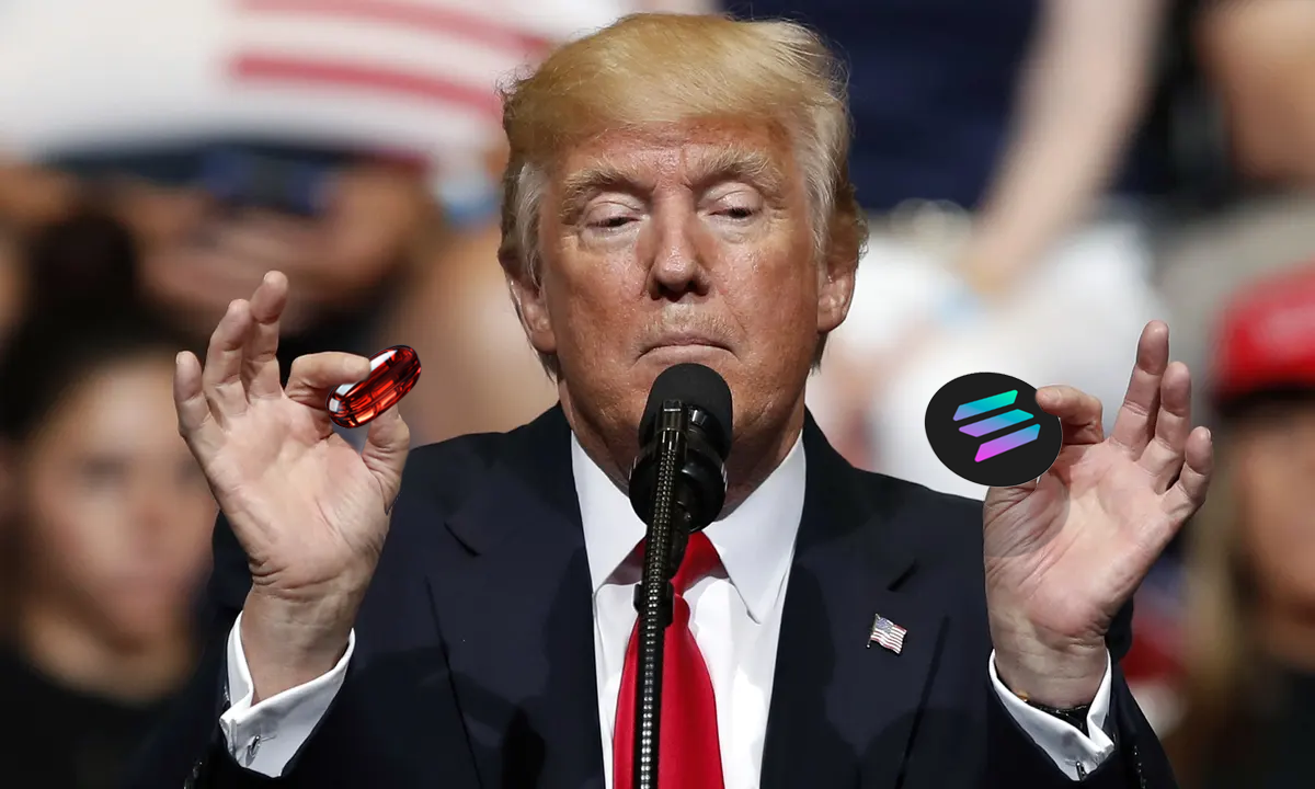 Red Pill — Migration, 2024… And Beyond | by Red Pill | Medium