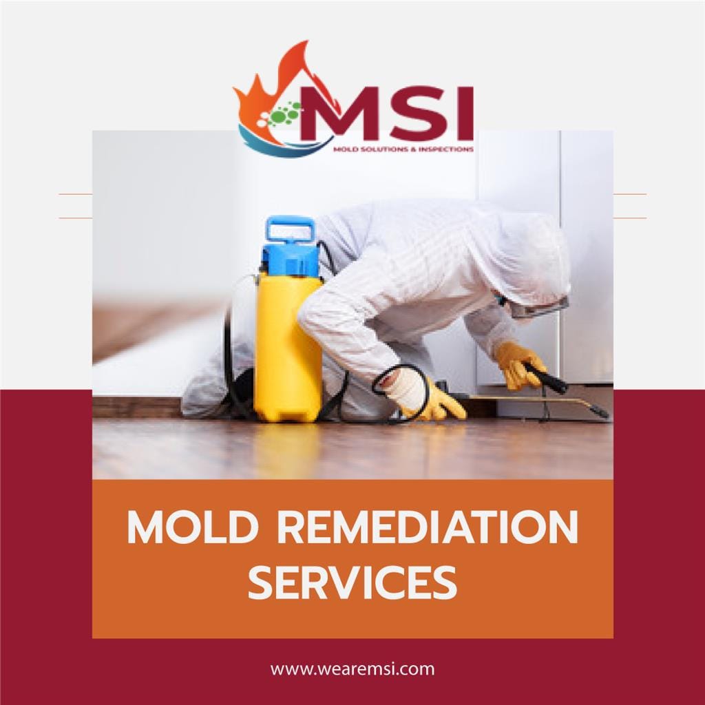 Hoarding Cleanup Services - Mold Solutions & Inspections - Medium