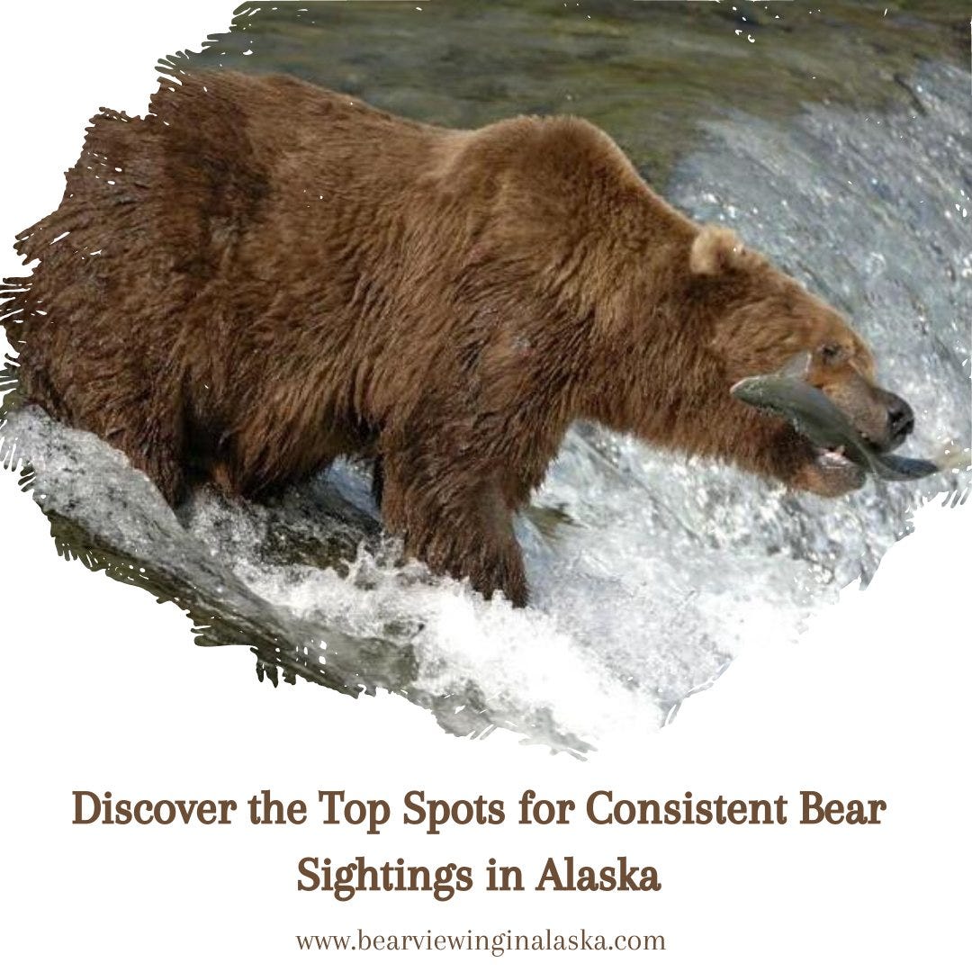 Where to do the best bear watching in Alaska? | by Mel Erickson | Mar ...
