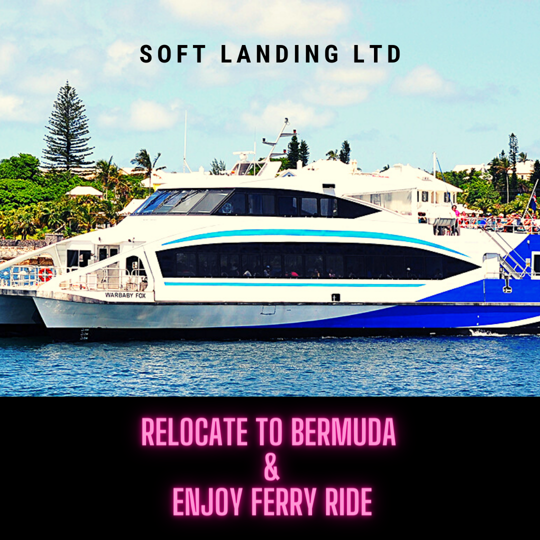 Connect with Soft Landing to Everything you Need to Know About ...