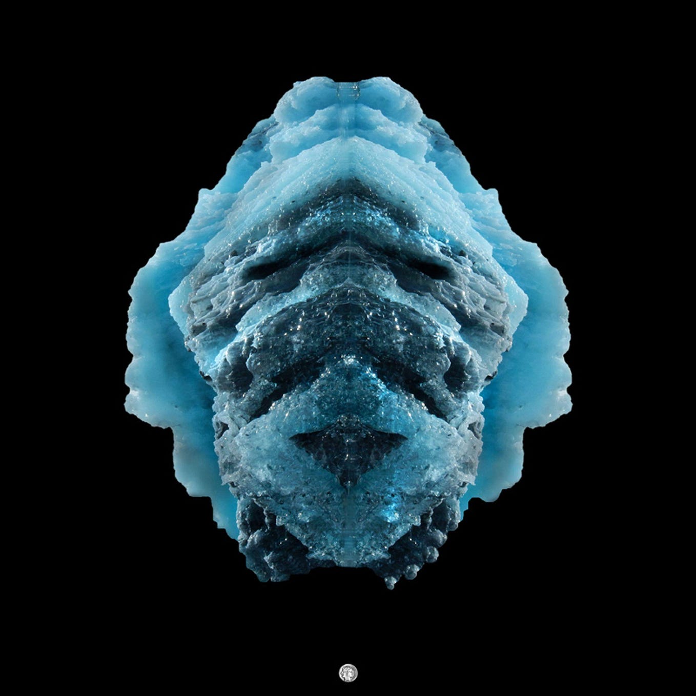 Porous Walker — Psychedelic Mushroom NFTs | by Open3 | Open3 | Medium