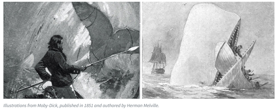 Environmental Journeys: 5. Ocean Dumping in the NY Bight | by charles ...