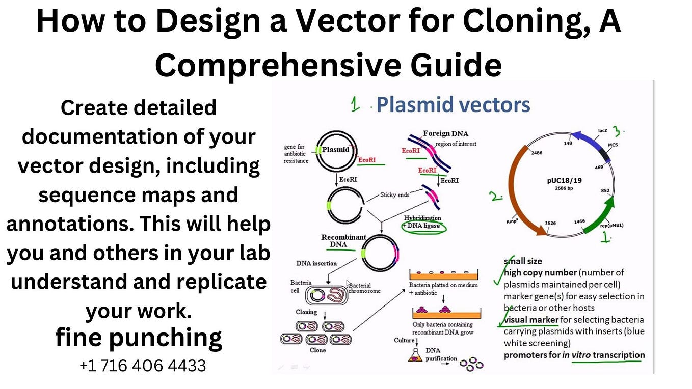 Designing a Plasmid Vector, A Comprehensive Guide | by Fine punching ...
