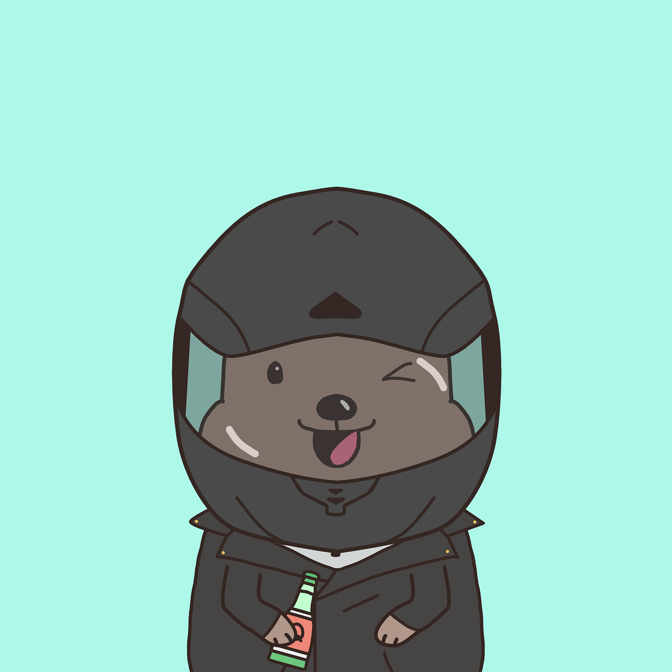 Minting an NFT using the Phantom Wallet | by Quokka Qommunity | Medium