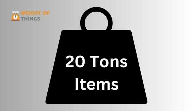 Surprising Things That Weigh 250 Pounds | by Voice of Weight | Medium