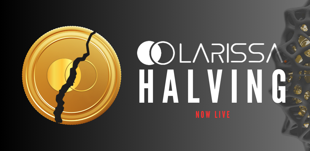 Introducing Larissa Network: A Next-Generation Blockchain Revolution ...