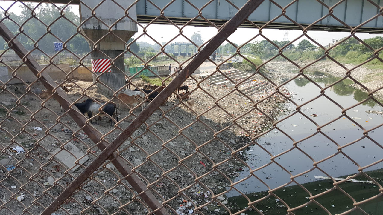 A Preventable Tragedy: The Meethotamulla Garbage Landslide | by Craig ...