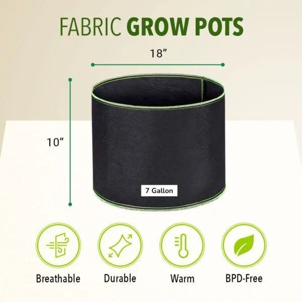 Grow Green with Fabric Plant Pots: A Sustainable Solution for Healthy ...