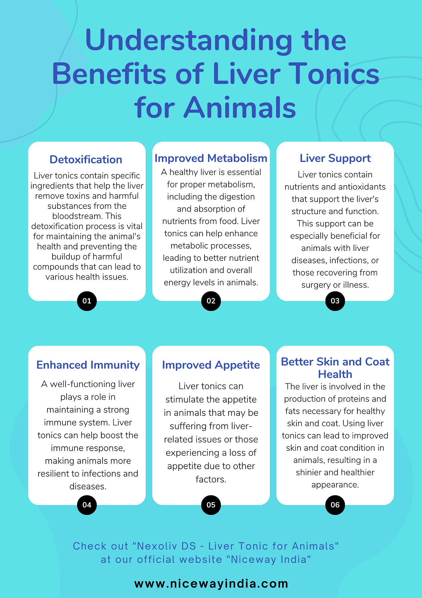Treating Rumen Acidosis in Cattle: A Comprehensive Guide | by Niceway ...