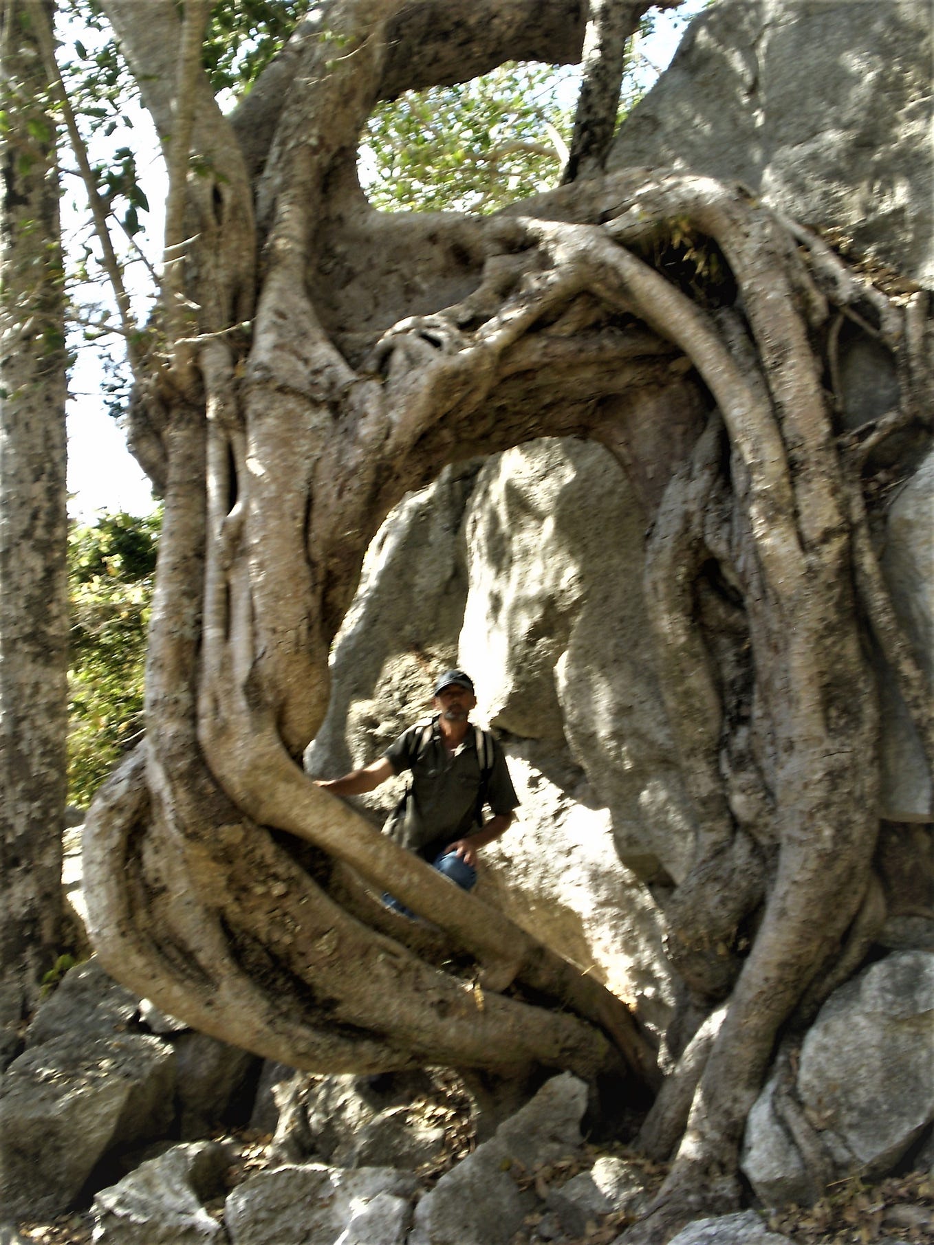The Lost Art of Twirling. Body Spinning for Balance, Health… | by ...