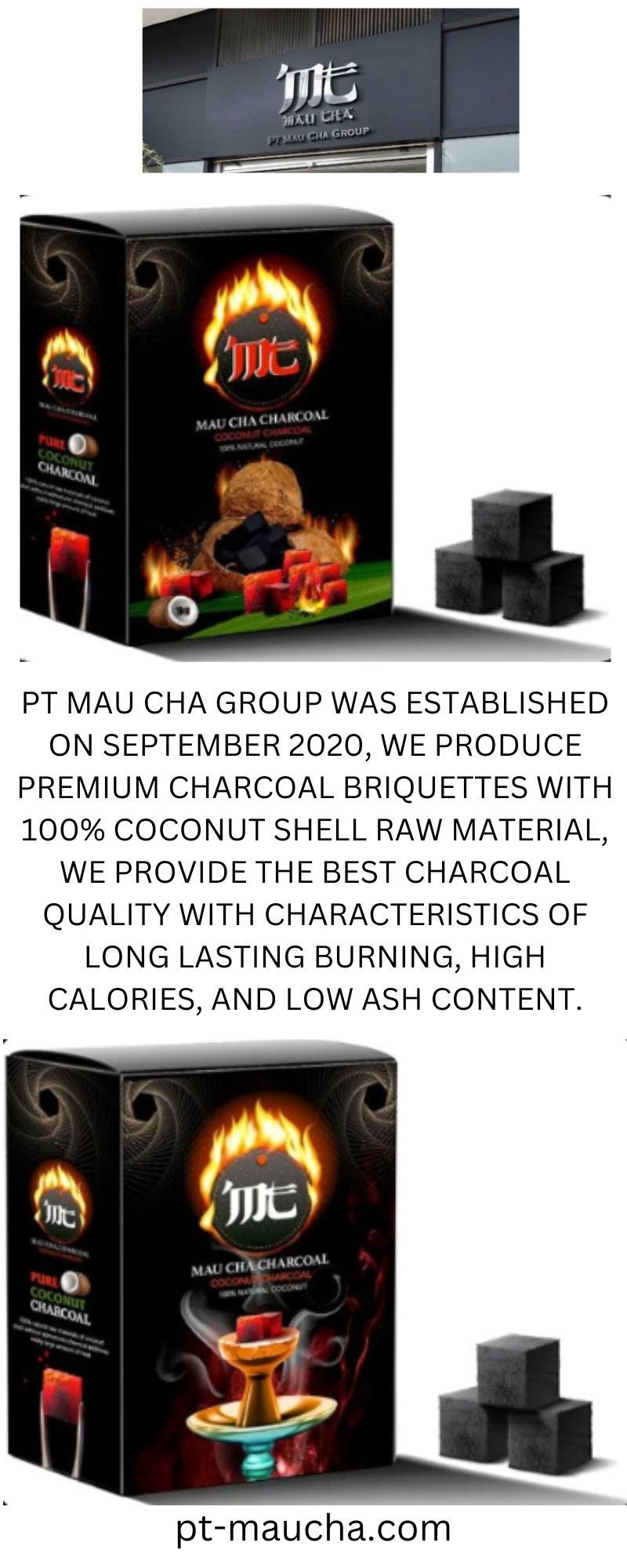 Coconut Shell Barbecue Briquettes | Pt-maucha.com - PT Mau Cha Group ...