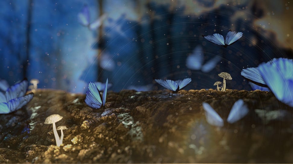 Certificate Revocation Validation With Crl And Ocsp In Wso2 X509 Authenticator By Indunil