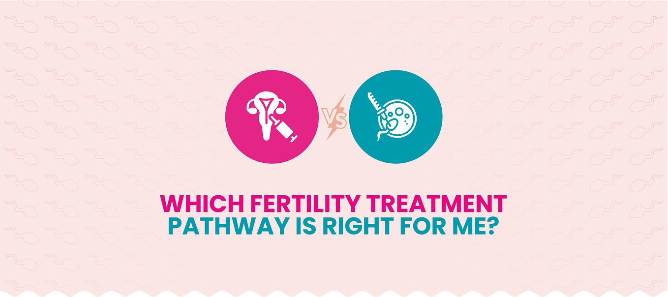 Understanding IVF Process: A Comprehensive Guide | by Nimai IVF - Top ...