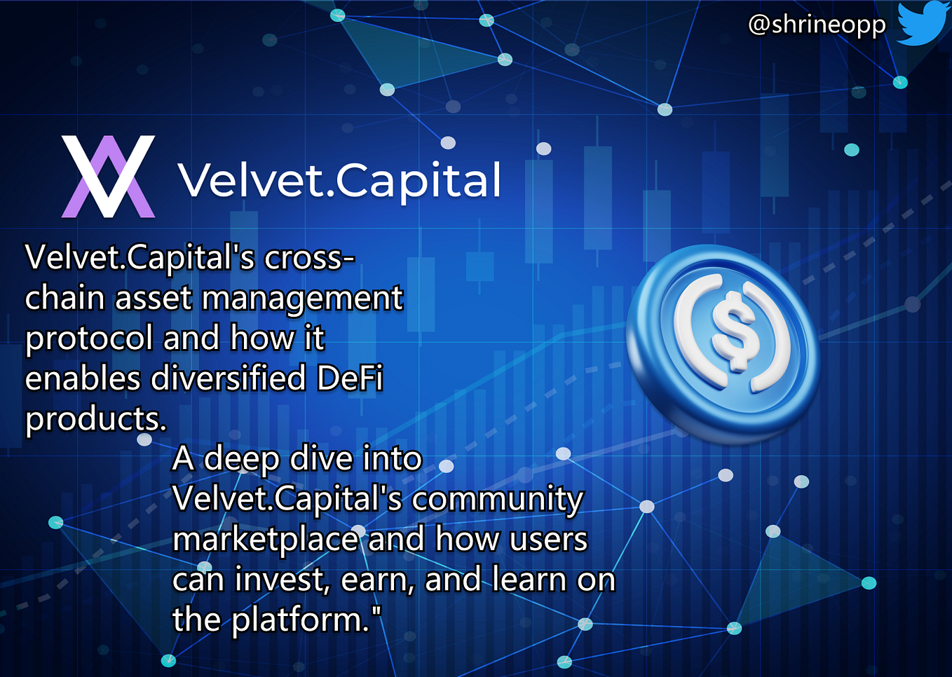 Velvet Capital’s Role in Global Supply Chain Management. | by Shrine ...