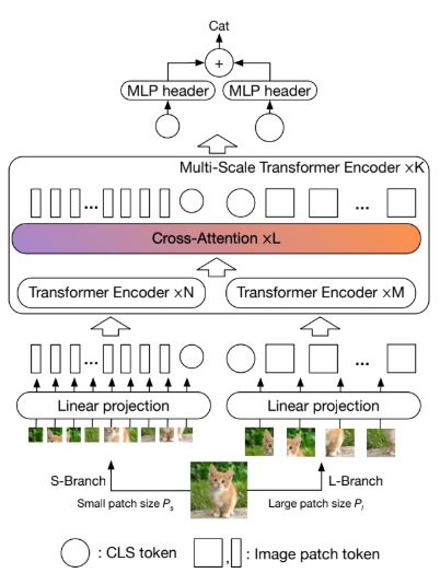 Exploring Deit A Review And Pytorch Guide To Data Efficient Image 5193