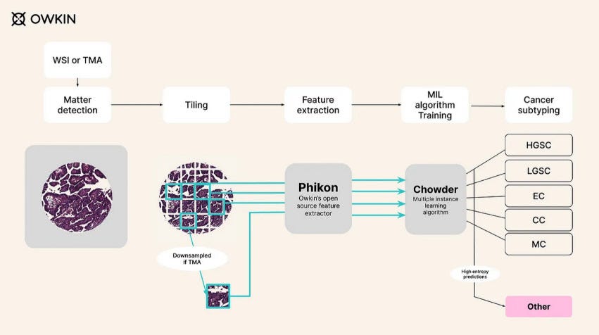 Analyzing kaggle competitions: UBC Ovarian Cancer Subtype ...