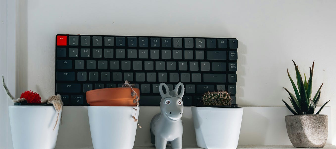 How to Set Up NocoDB (with SSL). Learn how to set up the NocoDB open… | by SwitchUpCB, PhD ...