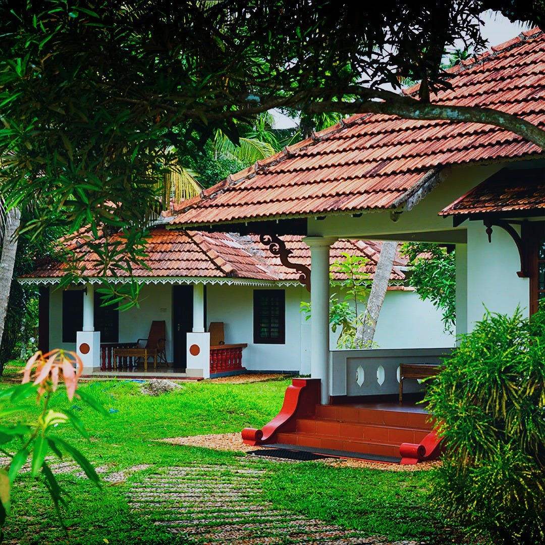 Unwind in Paradise: Experience Tranquility at Palmgrove Lake Resort ...