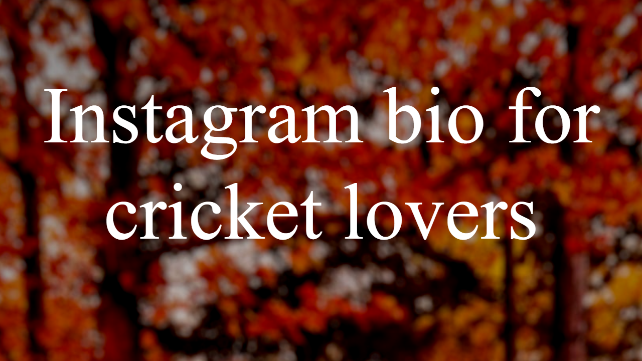 50+ Arabic Bio for Instagram: Crafting Captivating Profiles | by DP For ...