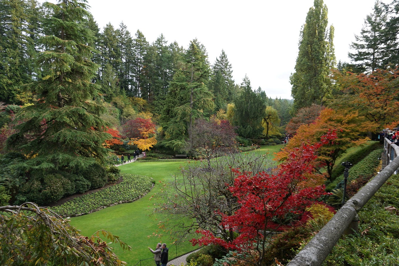 How To Create A Chatbot with GCP Dialogflow | by Thuan L Nguyen | Medium