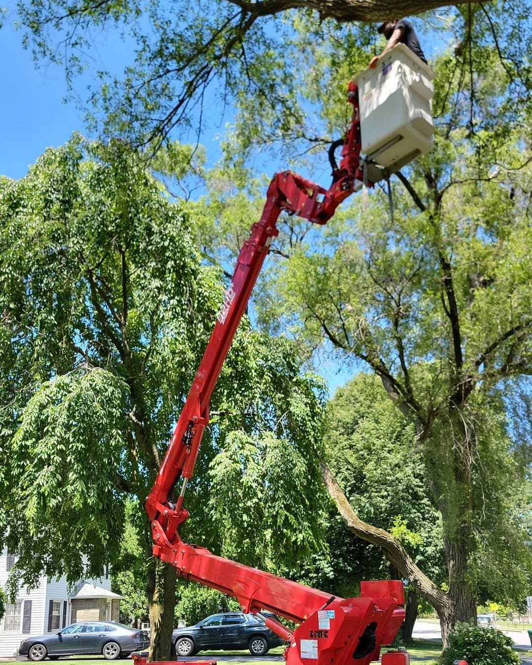 Do Tree Cutting Services in Syracuse, NY Really Save Trees? | by KD ...