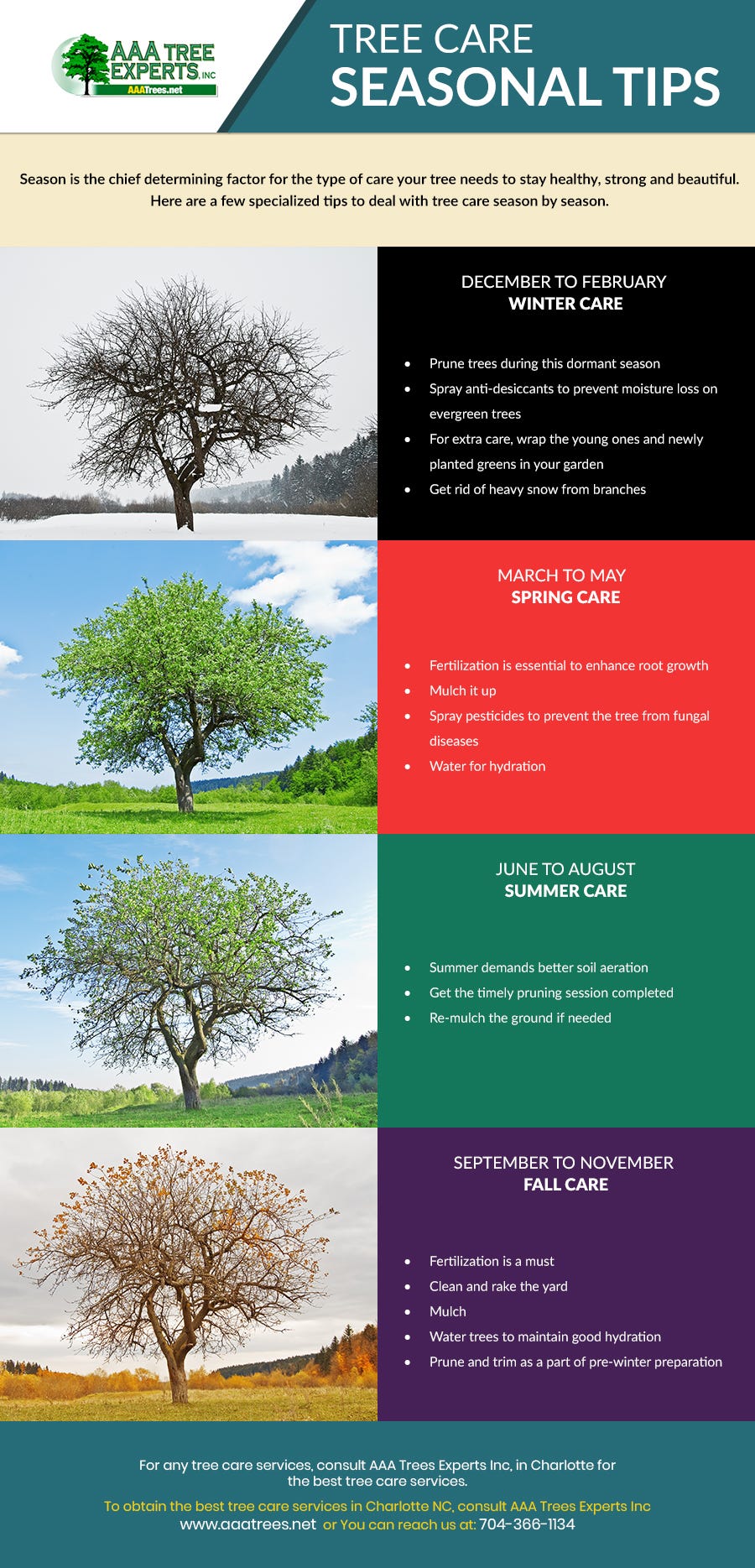 Understand The Importance of Safety for Tree Care Activities | by ...