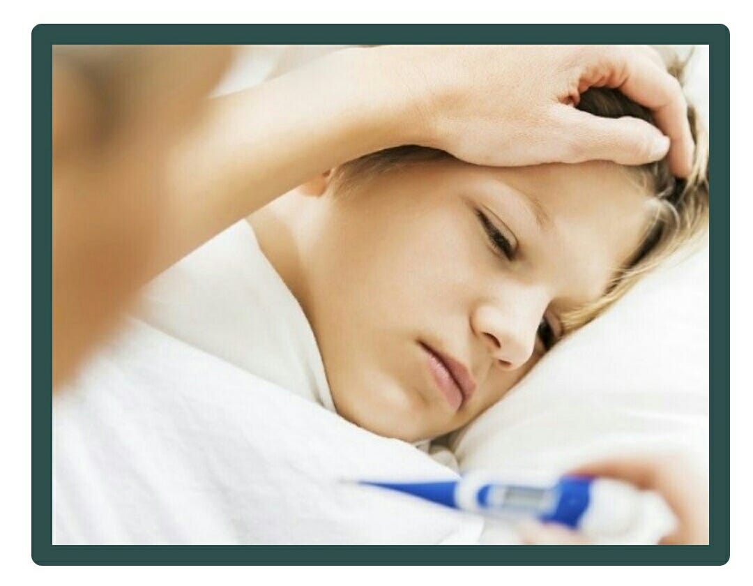 How to treat typhus disease naturally | by Riefolg | Medium