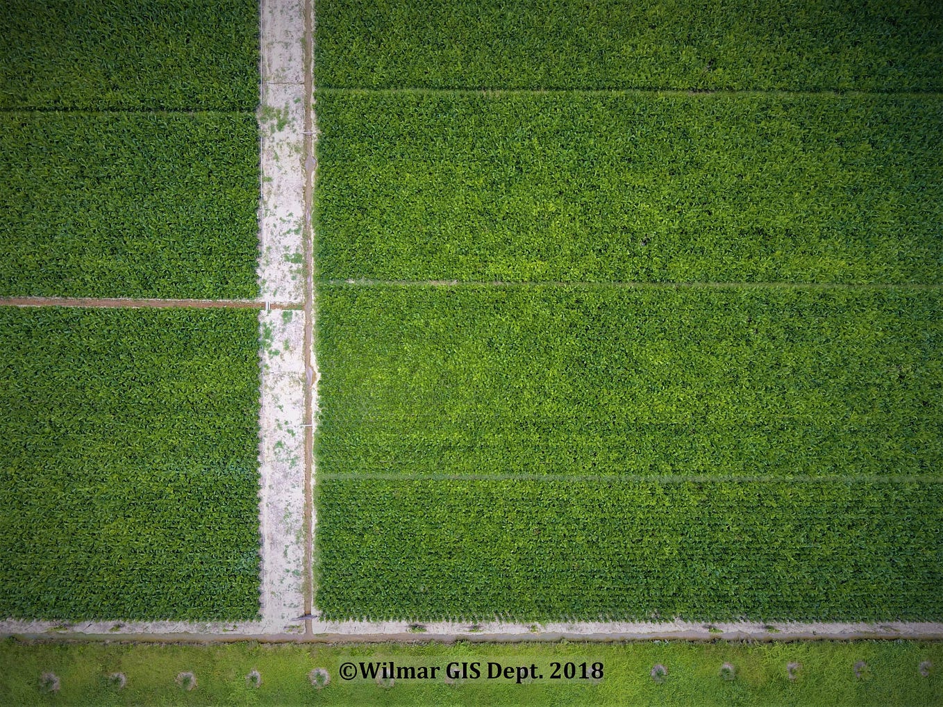 ArcGIS Pro Tutorial — Use of the Point Density Tool to Create a Map of ...