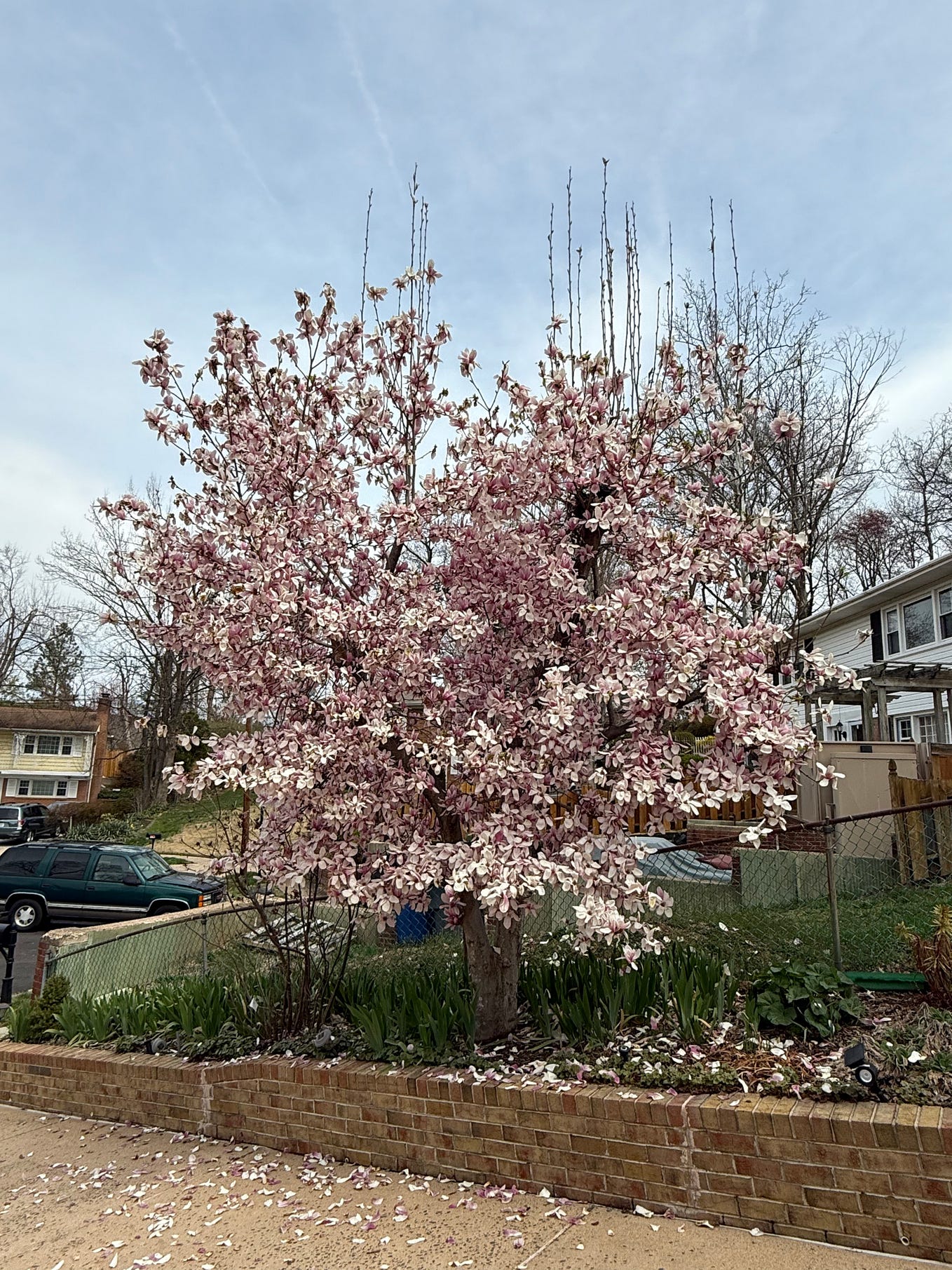 Celebrate Spring with a Sweet Story for Kids | by Marta Calderon, MScE ...