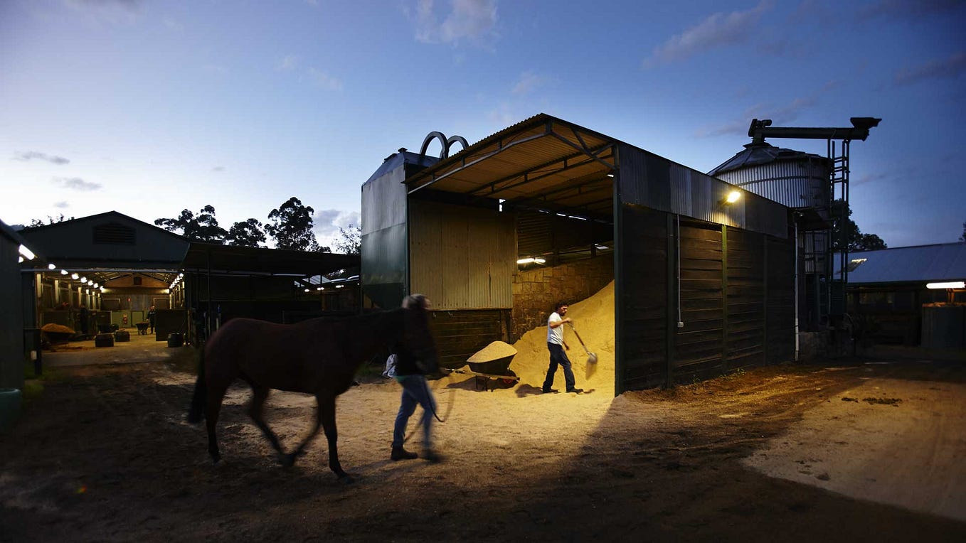 Muskoka Farm — World Class Spelling and Pre-Training | by Muskoka Farm ...