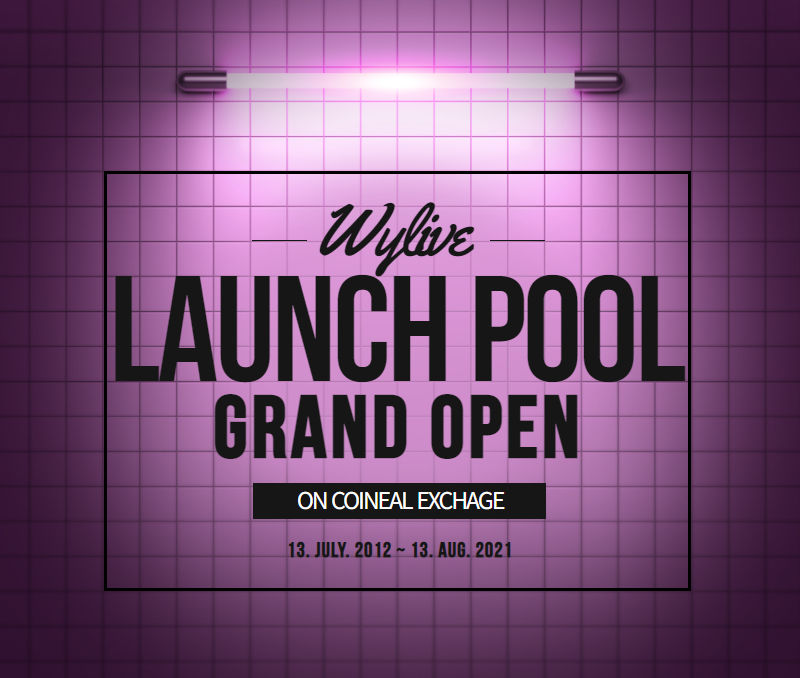 Confirm to develop WYL tokens based on Binance Chain (BSC) - WYL MEDIA ...