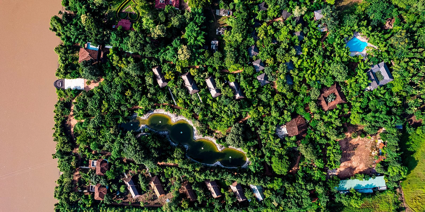 Exploring the Wilderness: Unveiling the Allure of Panna with an ...