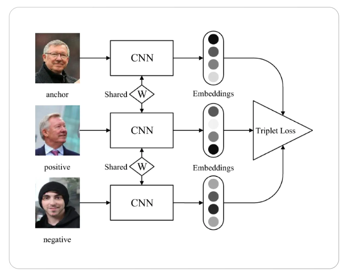 Grokking the Cross Entropy Loss. This post explains the intuitive… | by ...