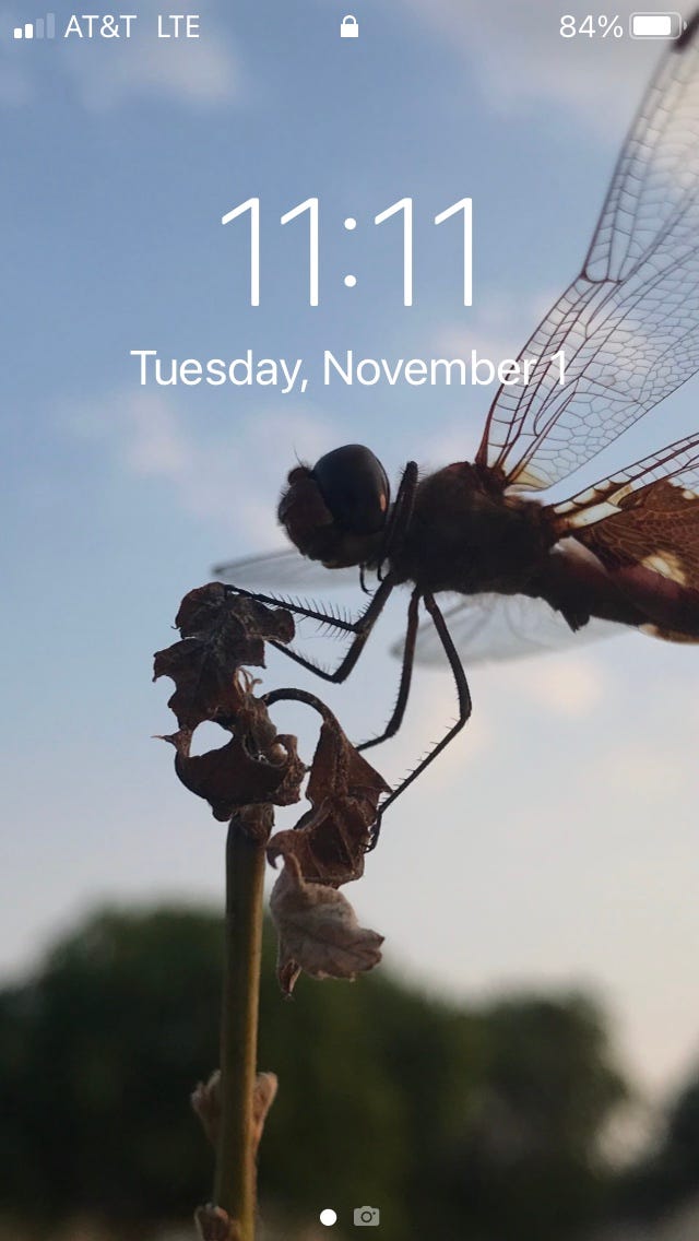 Thank you. I needed to post something since I’m not a writer & only ...