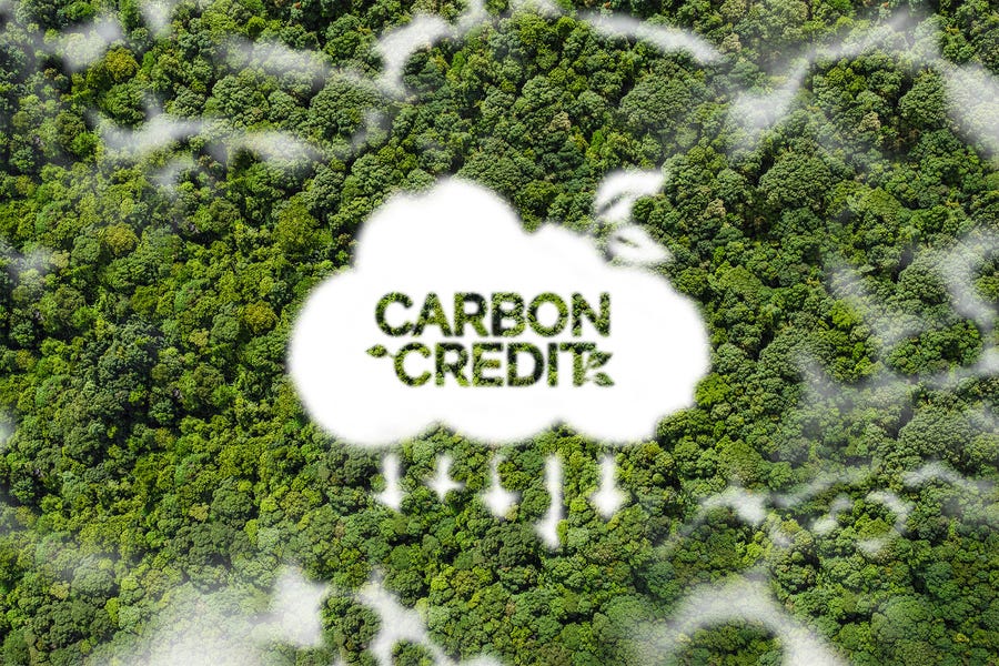 How to calculate Carbon Credits for Renewable Energy Power Plants? | by ...