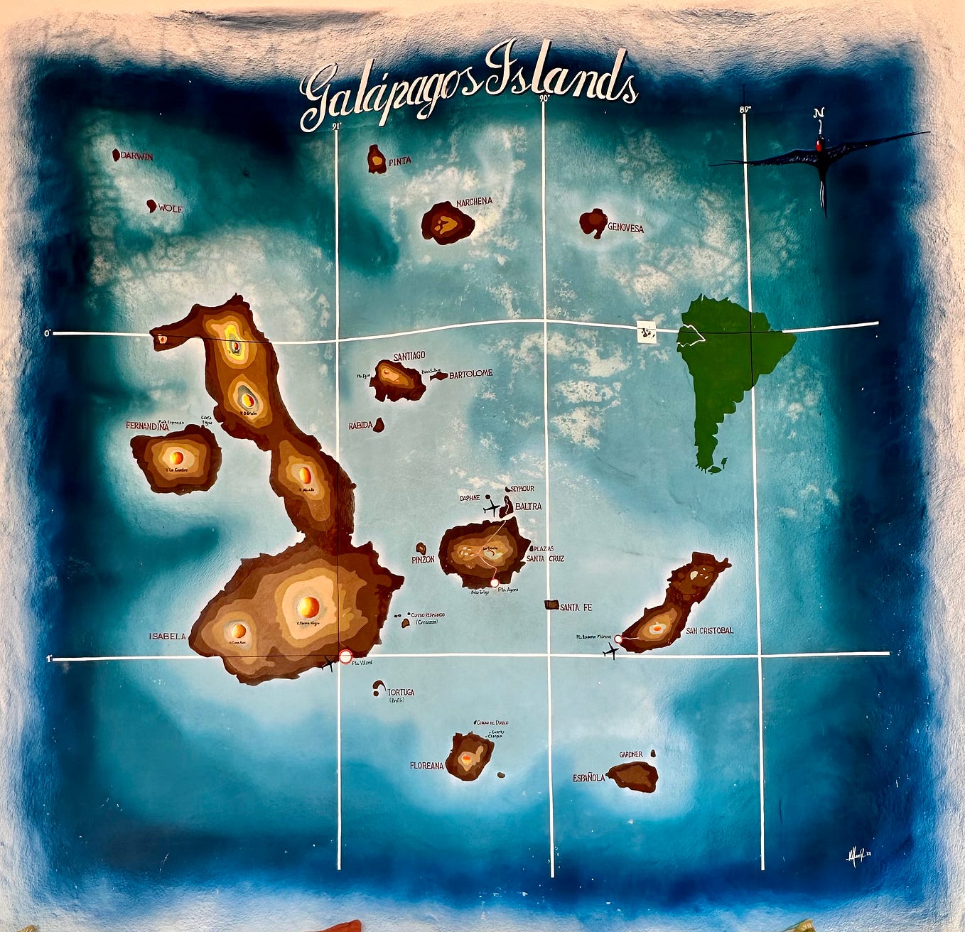 Ecuador and the Galápagos Islands, Part Three | by Adelia Ritchie, PhD ...