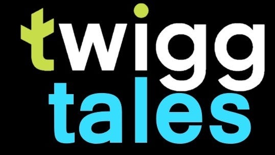 Twigg Recap: onboarding creators, TwiggTales, and new faces | by Twigg ...