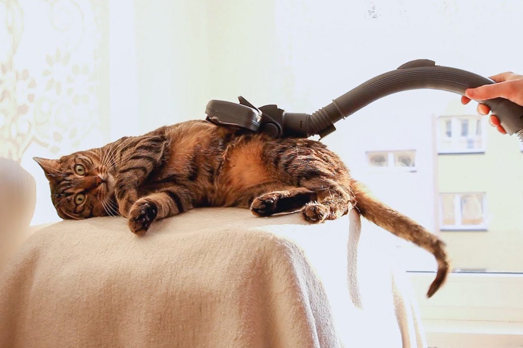 Fetch a query only once until page refresh using React Query | by David Han | In the weeds | Medium