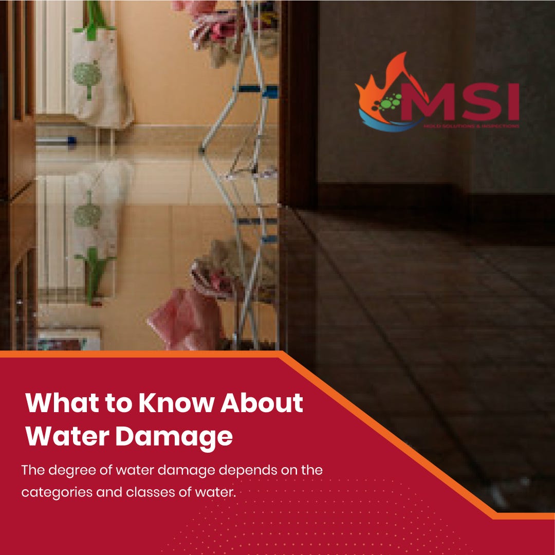 Explore the Link between Water Damage and Mold Infestation - Mold Solutions & Inspections - Medium