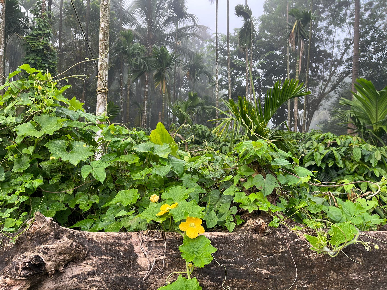 Debugging Docker Buildx “Invalid Tag: Missing Manifest Digest” | by Anju | Medium