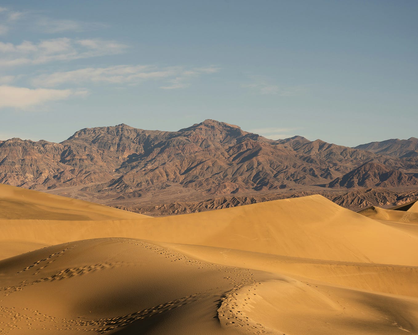 How to do Forecasting With Google BigQuery | by Data 4 Everyone! | Level Up Coding