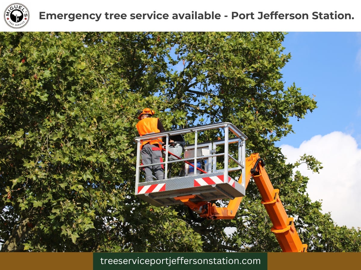 Tree Removal — Port Jefferson Station, New York | by Miguel's Tree ...